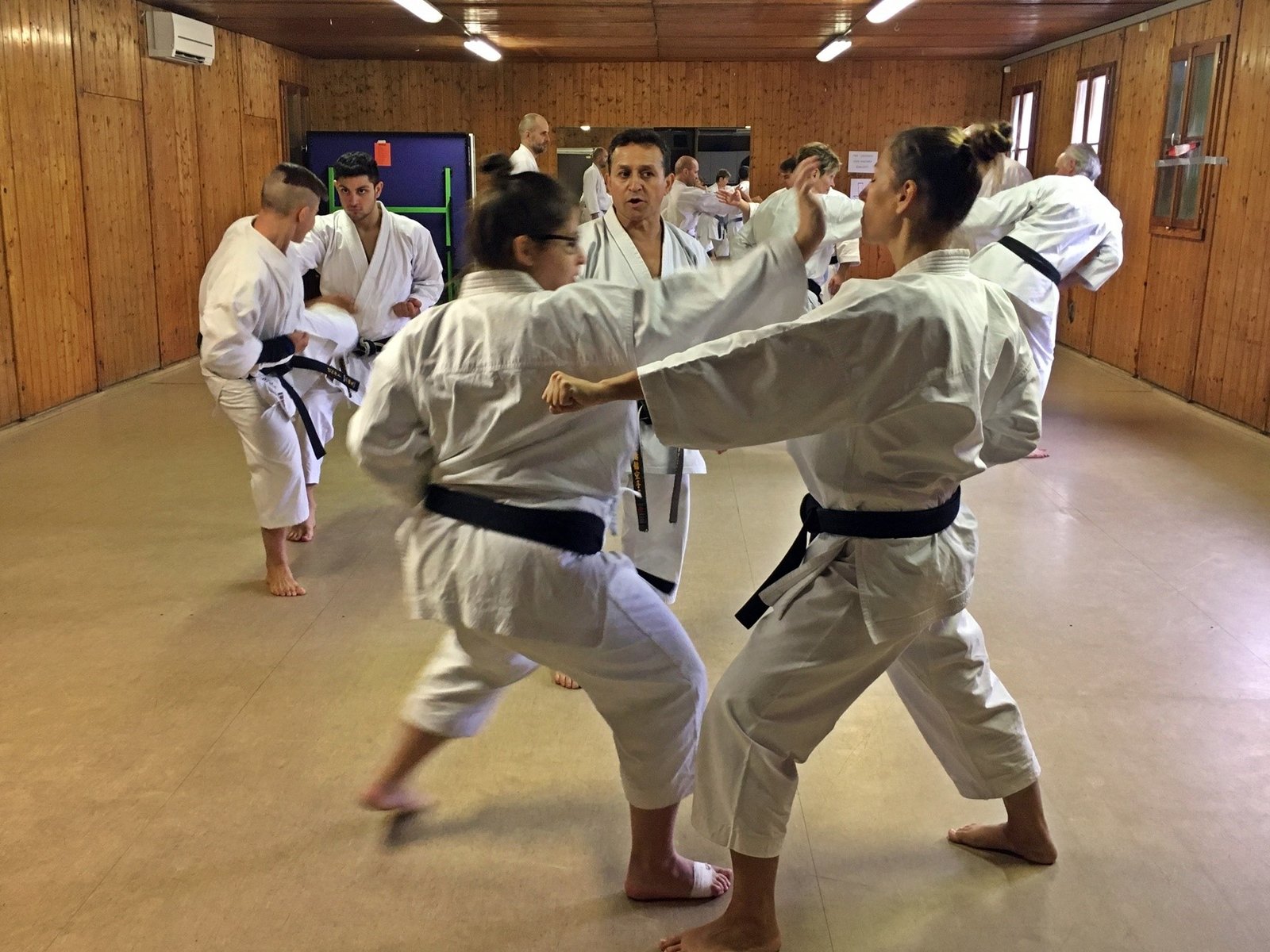 Karate – Bushi no te – Un'arte antica per tempi moderni